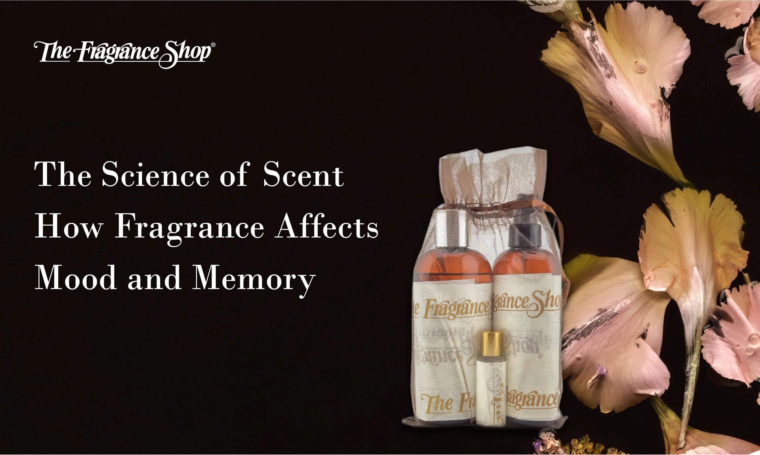 The Science of Scent: How Fragrance Affects Mood and Memory – The ...