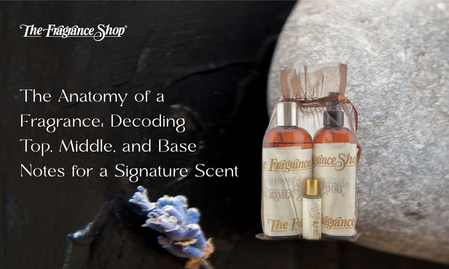 The Anatomy of a Fragrance: Decoding Top, Middle, and Base Notes for a ...