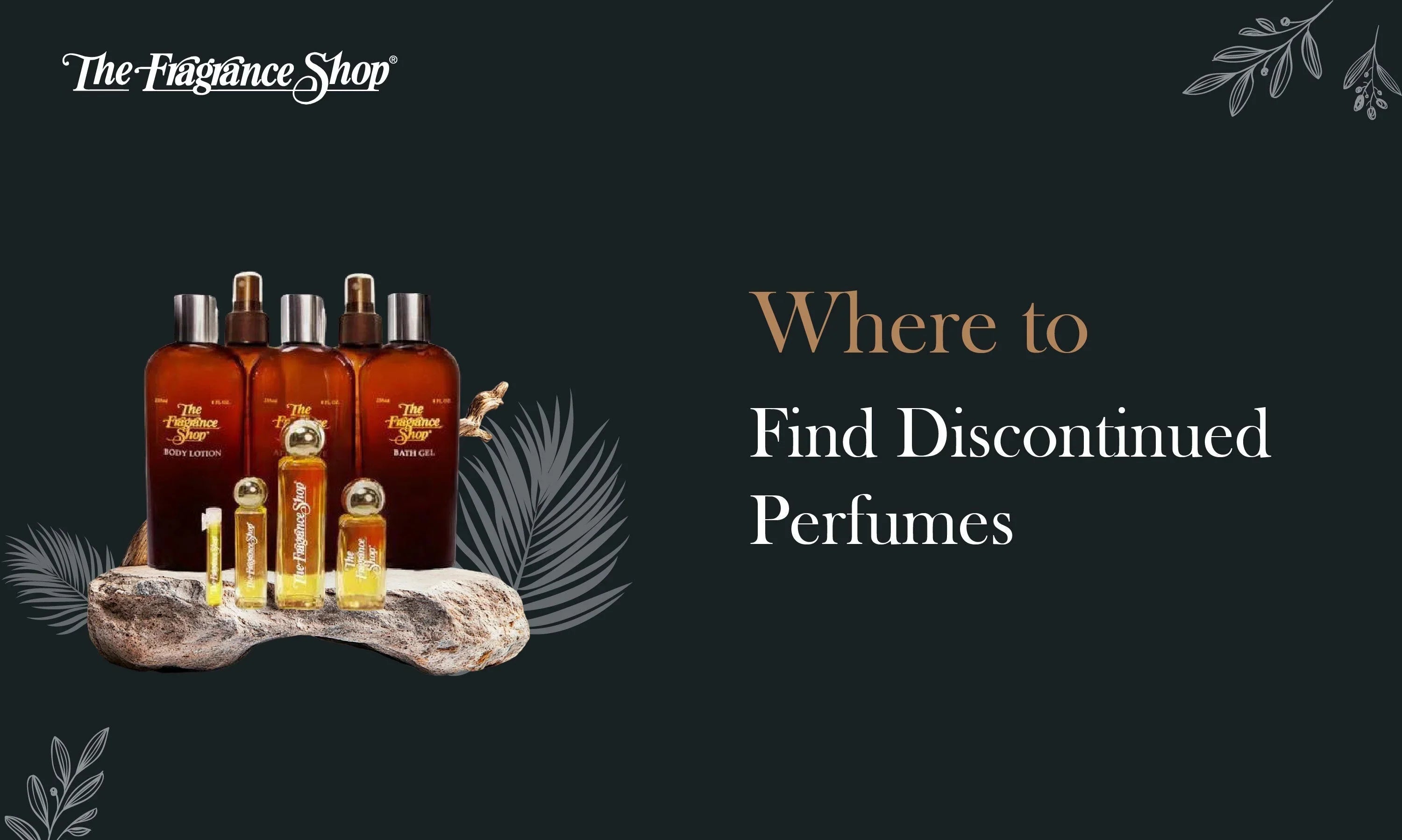Where to Find Discontinued Perfumes: A Collector's Guide – The ...